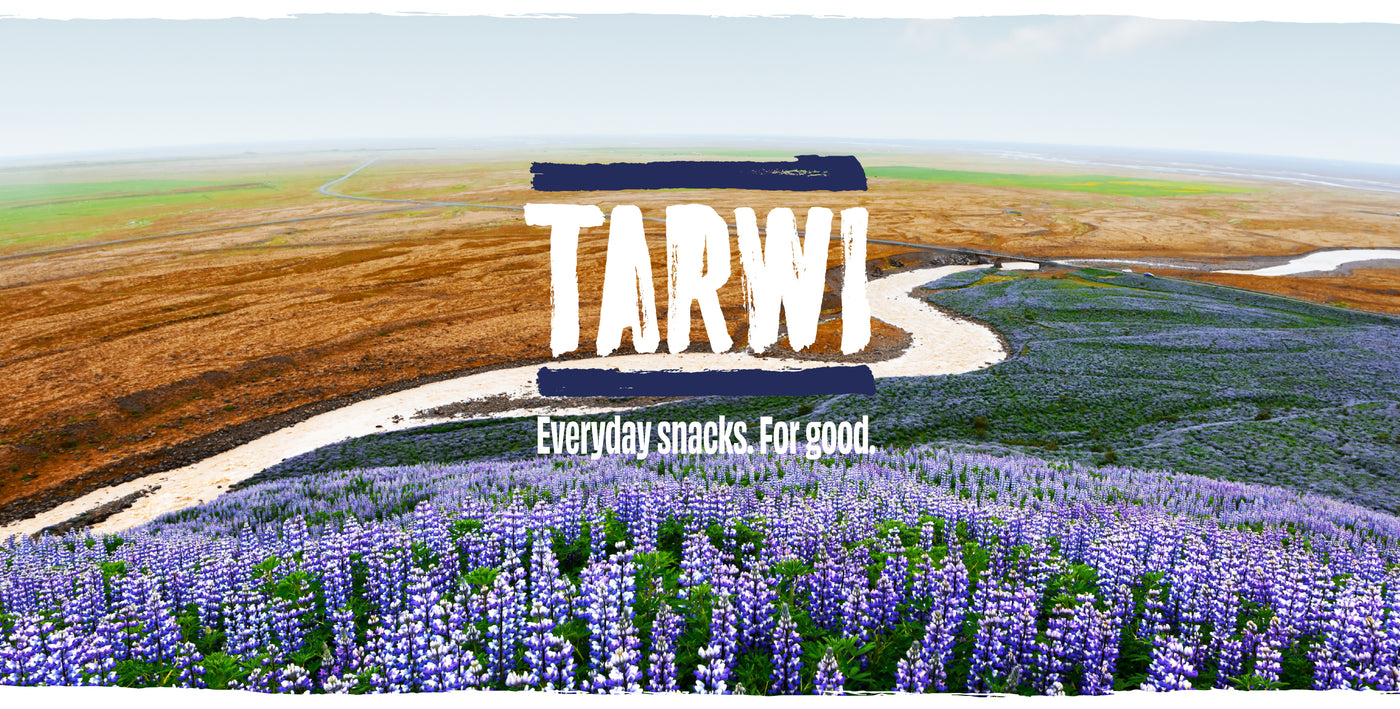 Tarwi - Everyday snacks made with Lupin Beans!