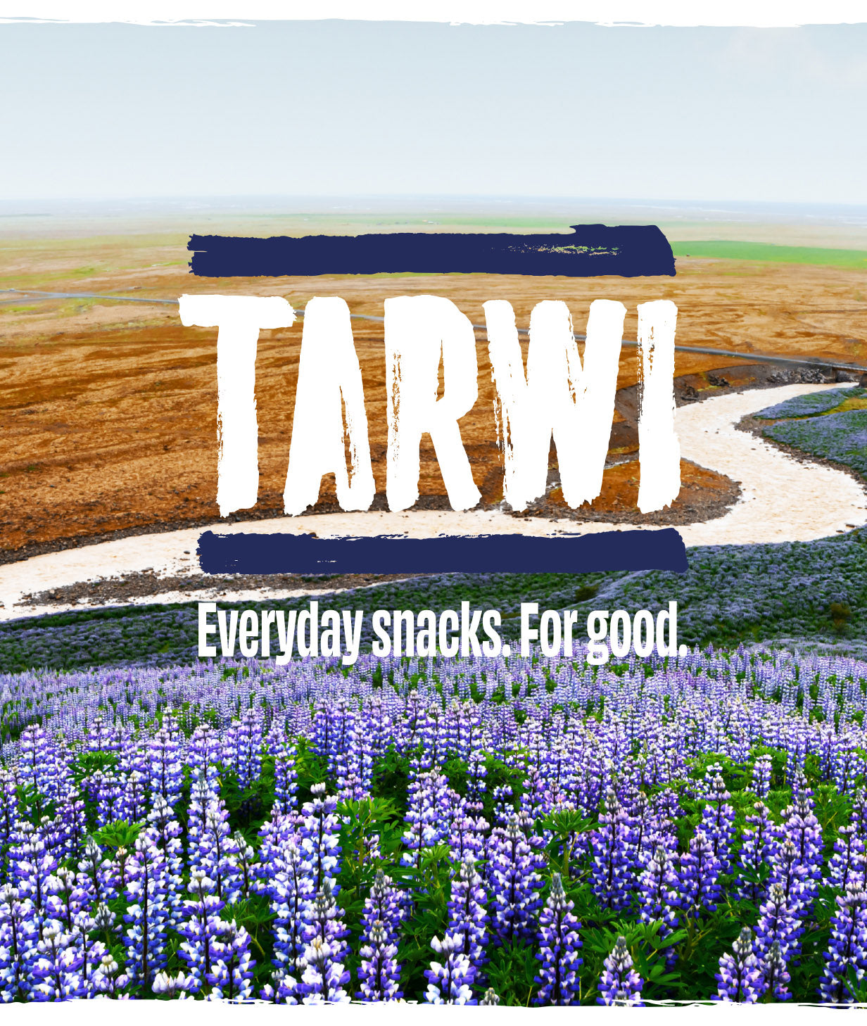 Tarwi - Everyday snacks made with Lupin Beans!